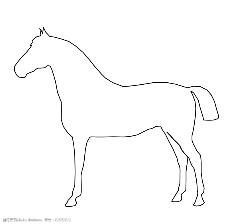 动物白色的马图片免费下载_动物白色的马素材_动物白色的马模板-图行天下素材网